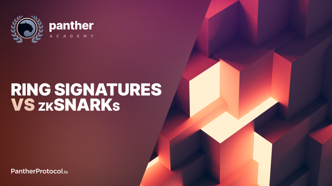 Ring Signatures vs. zkSNARKs: Comparación de tecnologías de privacidad ...