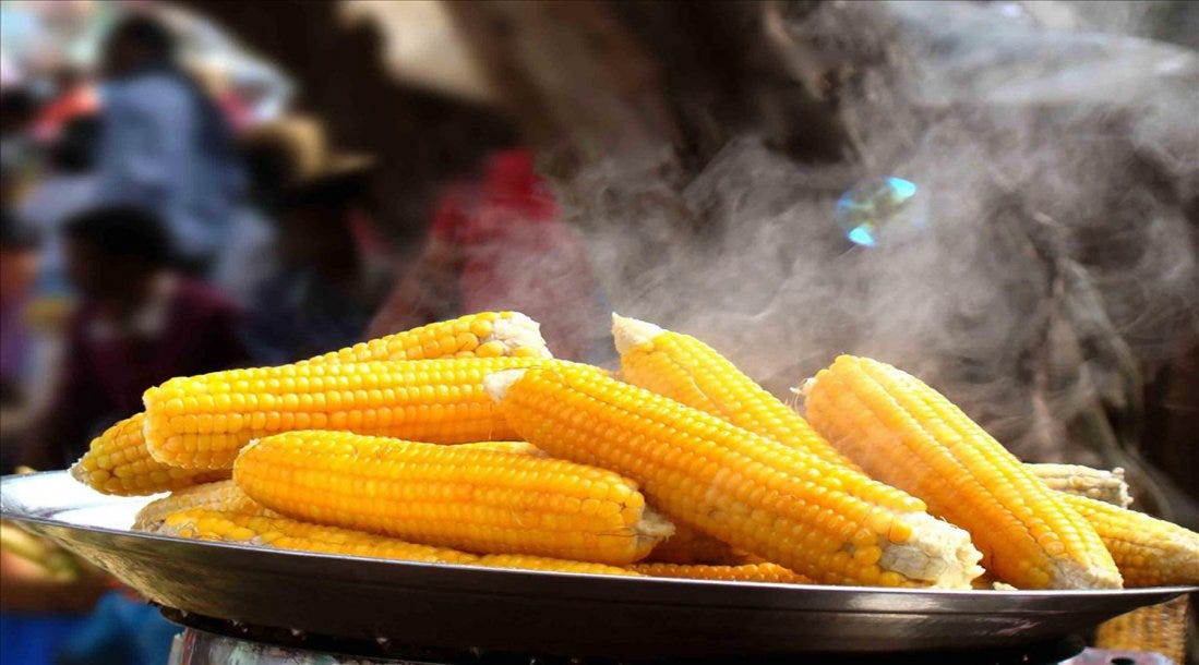Temporada de choclos, sabores y colores de la quebrada, el oro ...