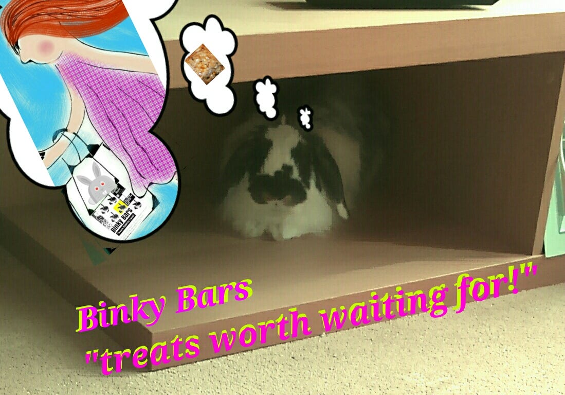 #binkybars #bunnies #treat #shopping #pets #United_Kingdom | by Binky ...