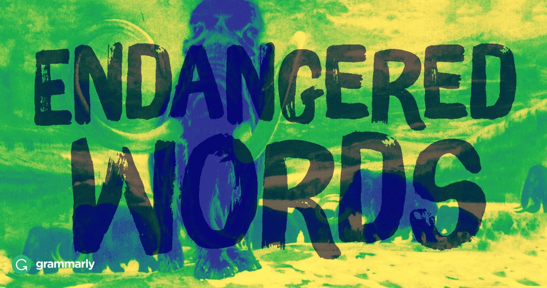How to Save Words on the Endangered List from Verbal Abuse | by ...