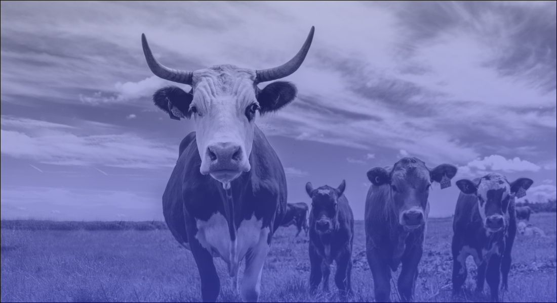 Cattle Not Pets: Kubernetes Fleet Management | by Michael Guarino | ITNEXT