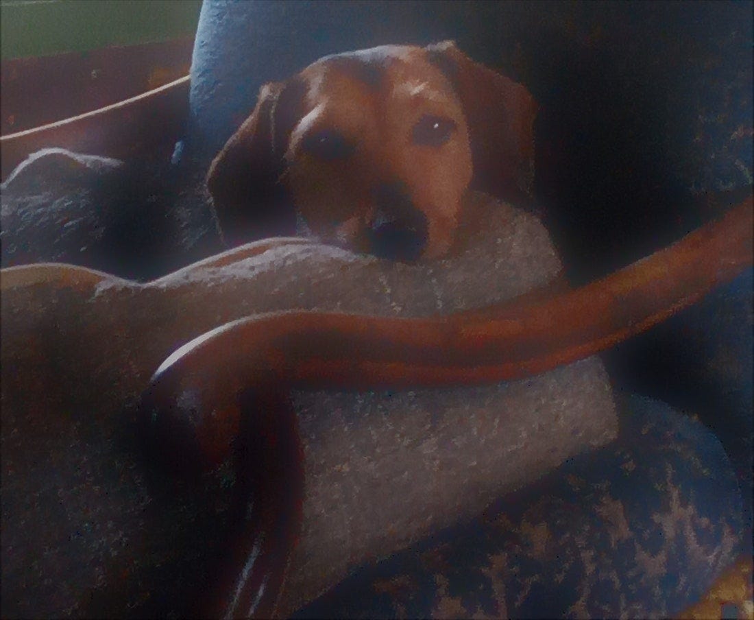 Twelve Weeks. Twelve weeks today, now in fact, I was… | by Lucy Inglis | Medium