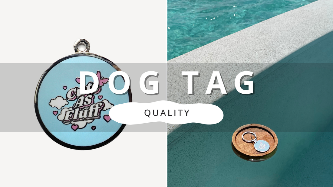 Why Quality Custom Dog ID Tag? | PawrTalk | by Empawr | Jun, 2023 | Medium