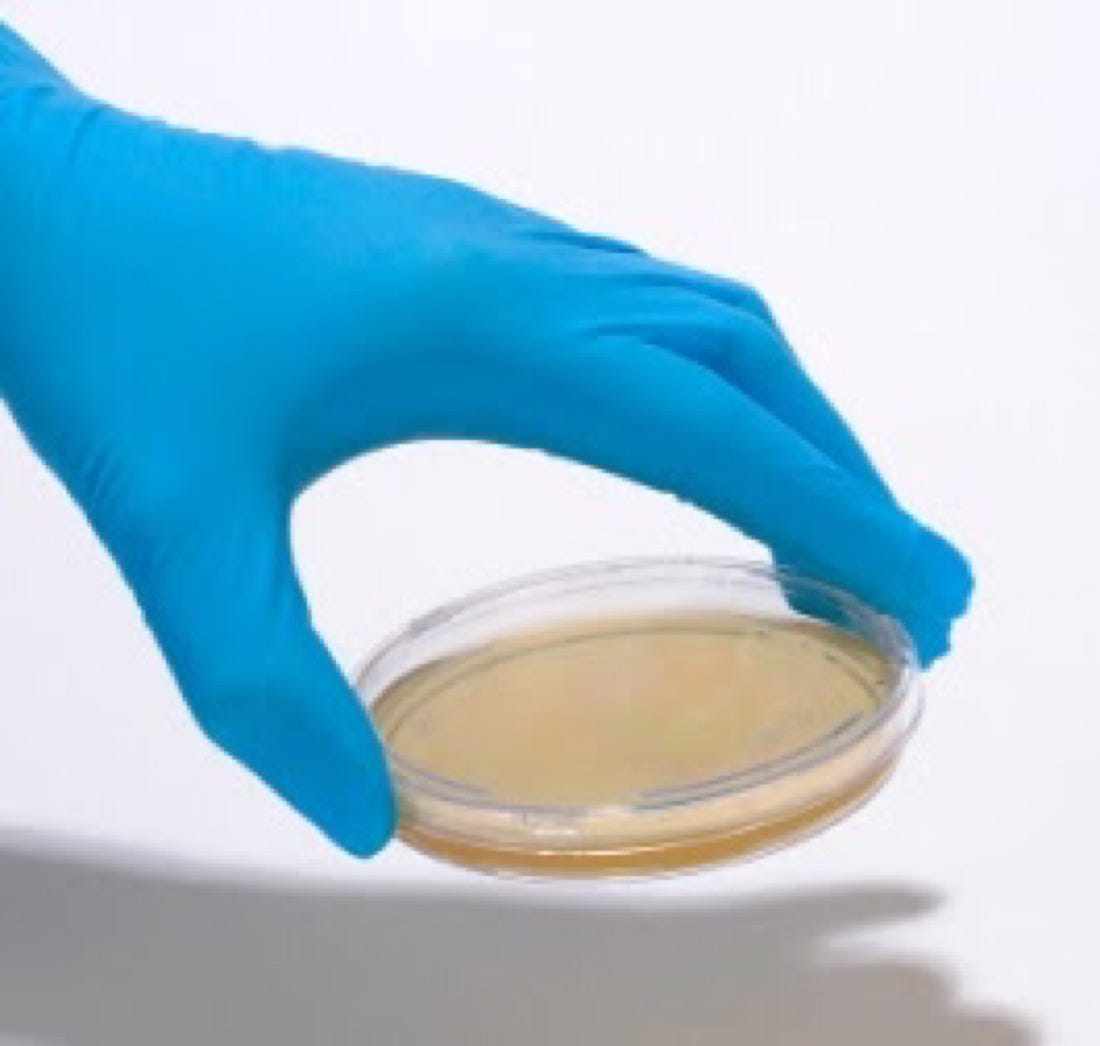 #AirSampling, #Analysis, #Bacteria, #MicrobiologicalAnalysis, #Sampling ...