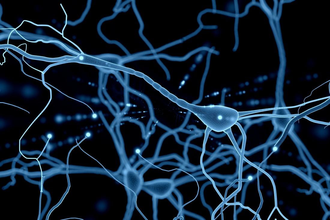 An Introduction to Spiking Neural Networks (Part 1) | by Chinmay Chiplunkar | Analytics Vidhya ...