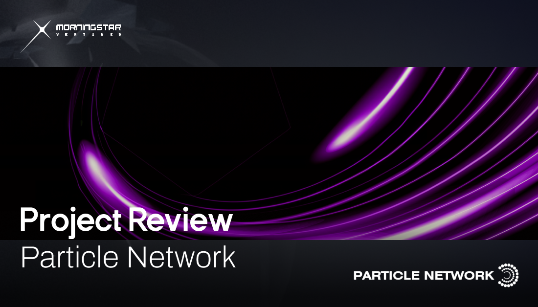 Project Review: Particle Network. The L1 Unifying All Chains | by ...