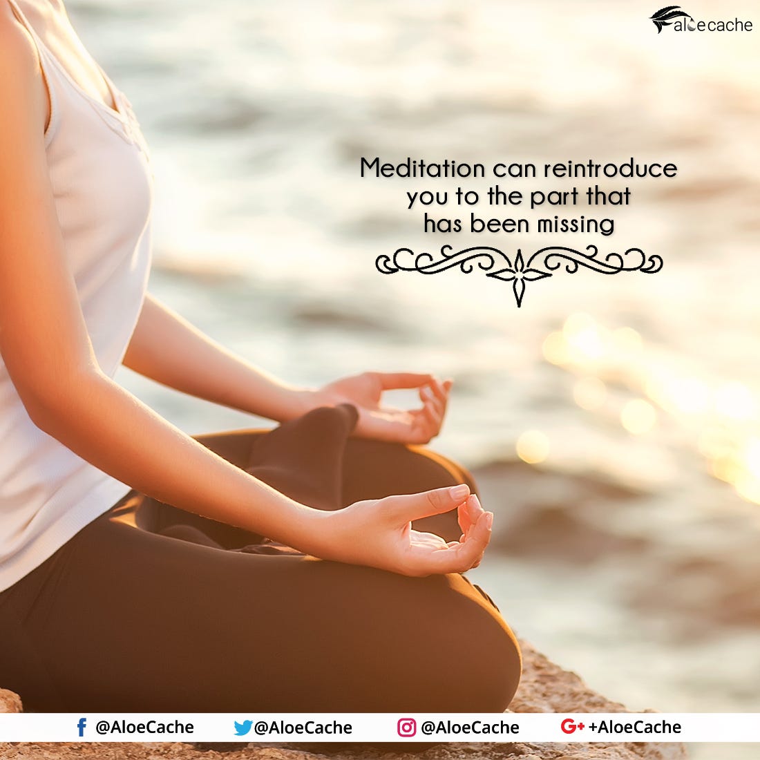 Meditation. Meditation is listening to the divine… | by Aloe Cache | Medium
