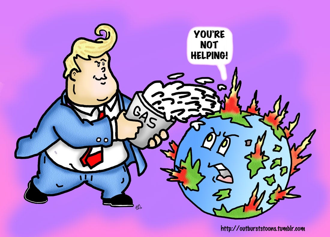 FIRE STARTER. Donald Trumps talent for saying things… | by Jim ...