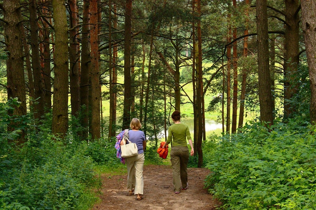 Walk, Think, Invent. We think far better things while we… | by ...