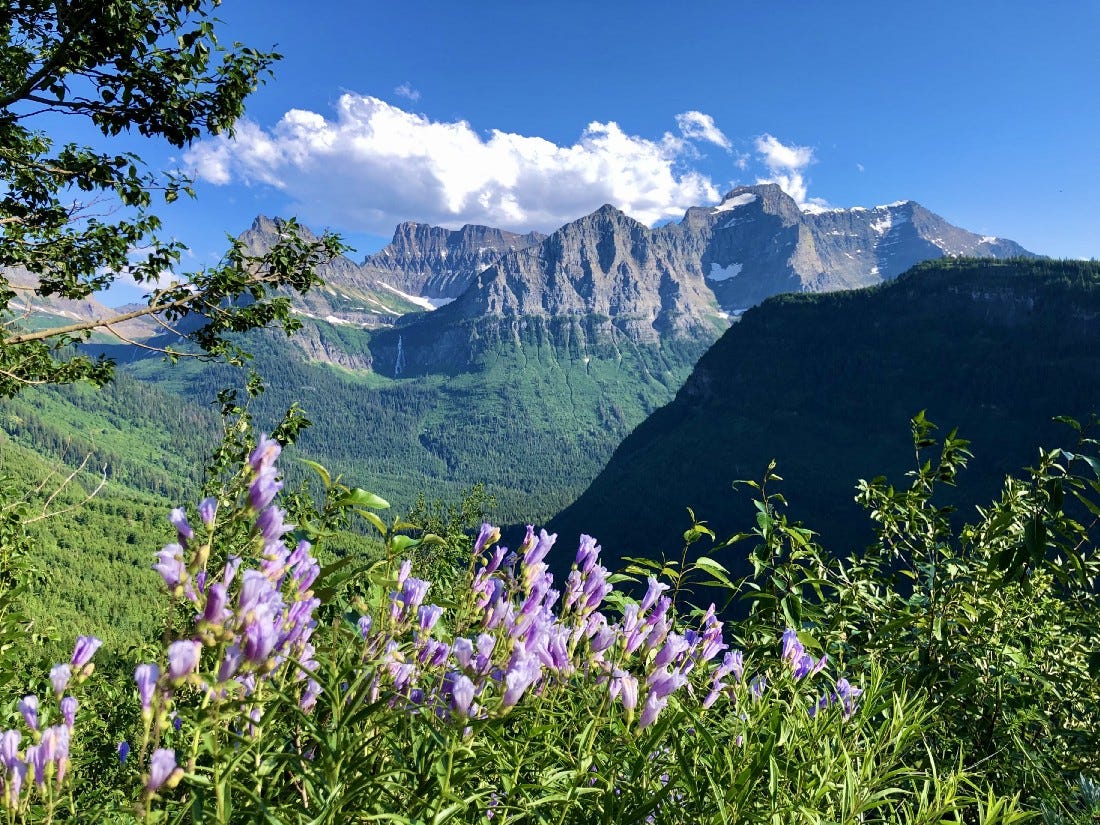 DevOps Self-Service Pipeline Architecture and Its 3–2–1 Rule | by Wenqi ...