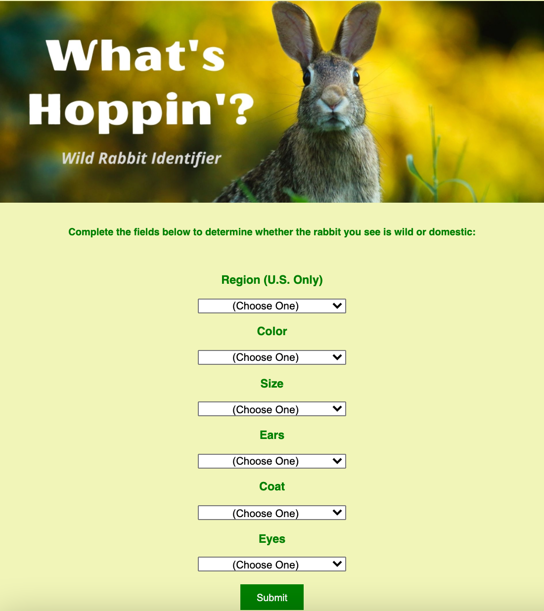 What’s Hoppin’?. My First JavaScript Project | by Karina Stabile | Medium