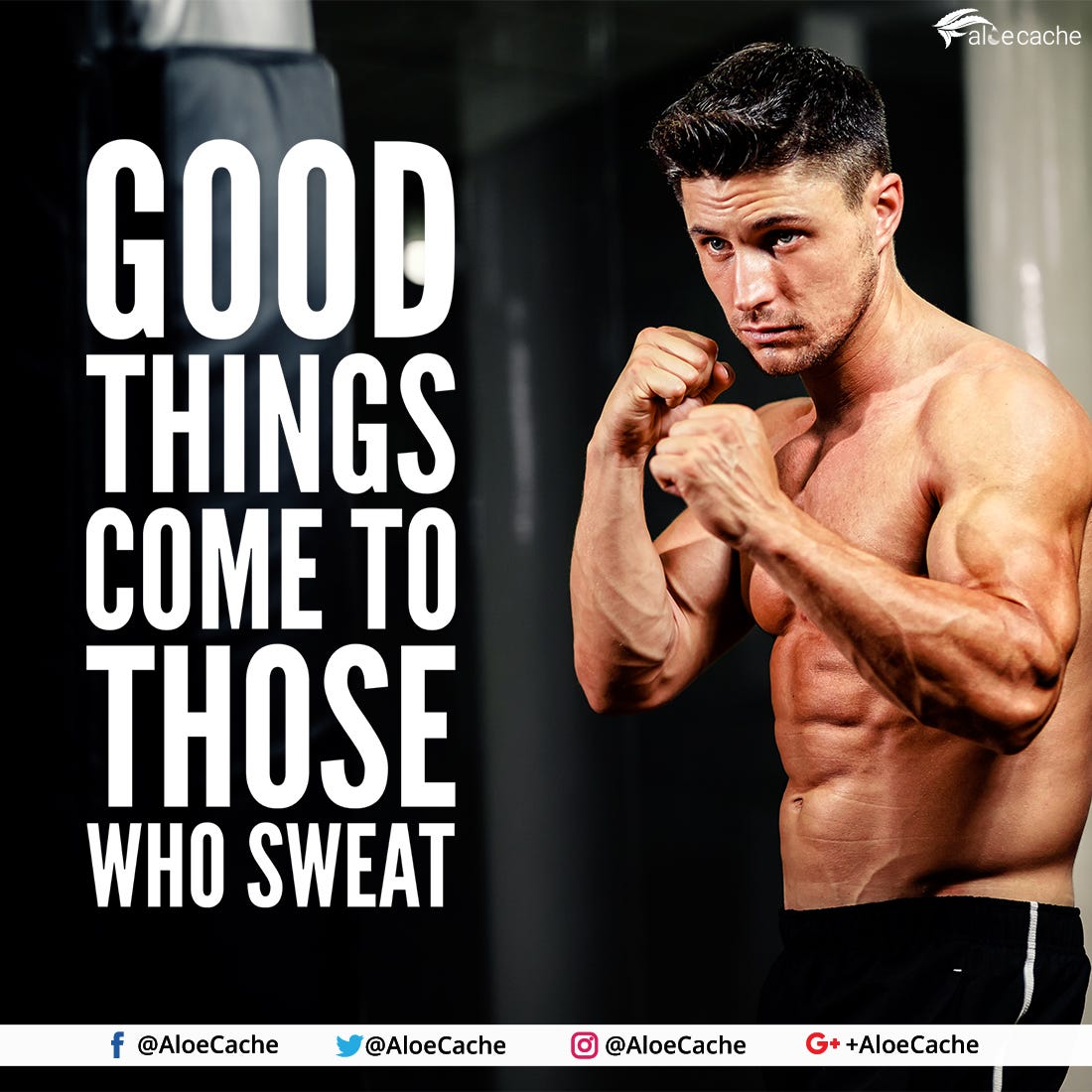 Sweat is Magic. Cover yourself in it daily to grant… | by Aloe Cache ...
