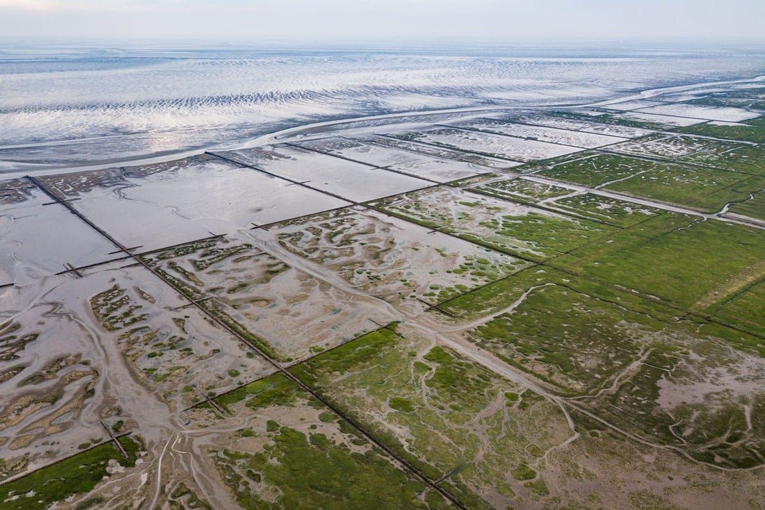 Tideland. Stretching from the Netherlands to… | by Tzu Chi Culture ...