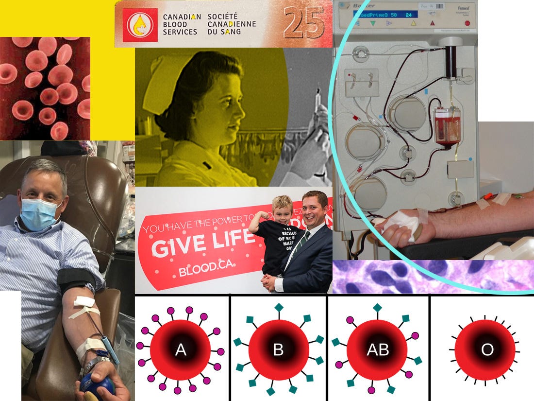 The Power To Give. The gift of life | by Rodrigo S-C | Nursing Notes ...