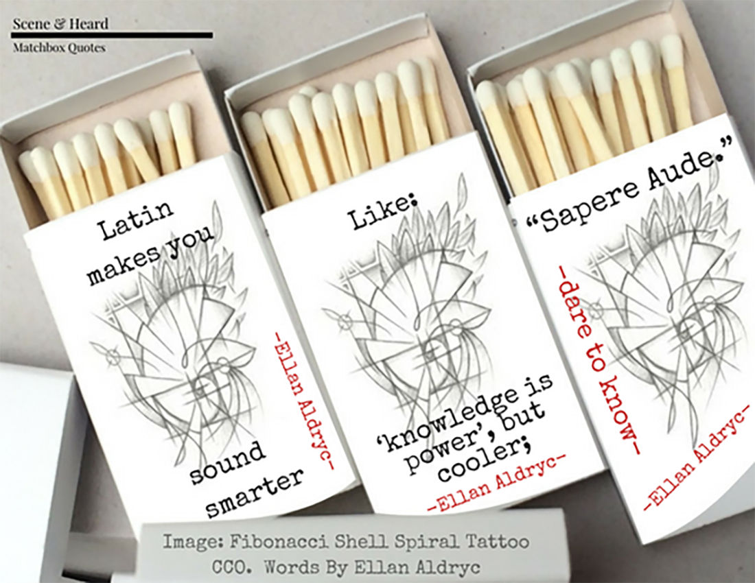 Latin makes you sound smarter. Matchbox Quotes (yo) Day 5 | by Ellan ...