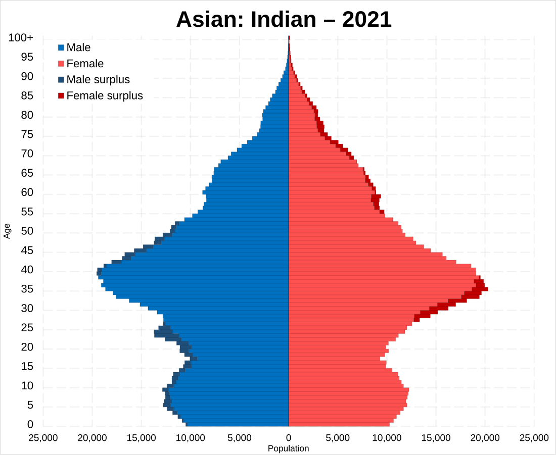 Why India is a Dying Nation | The Geopolitical Economist