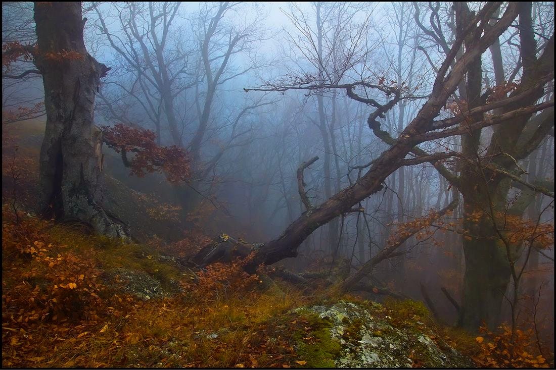 Witness to the Wretchedness: Defense for the Unseen Evidence | by ...