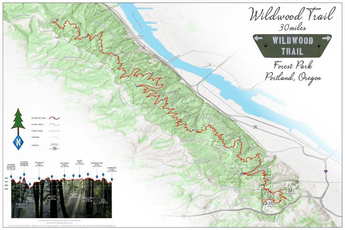My Pursuit of the Iconic Wildwood Trail Fastest Known Time | by Andrew ...