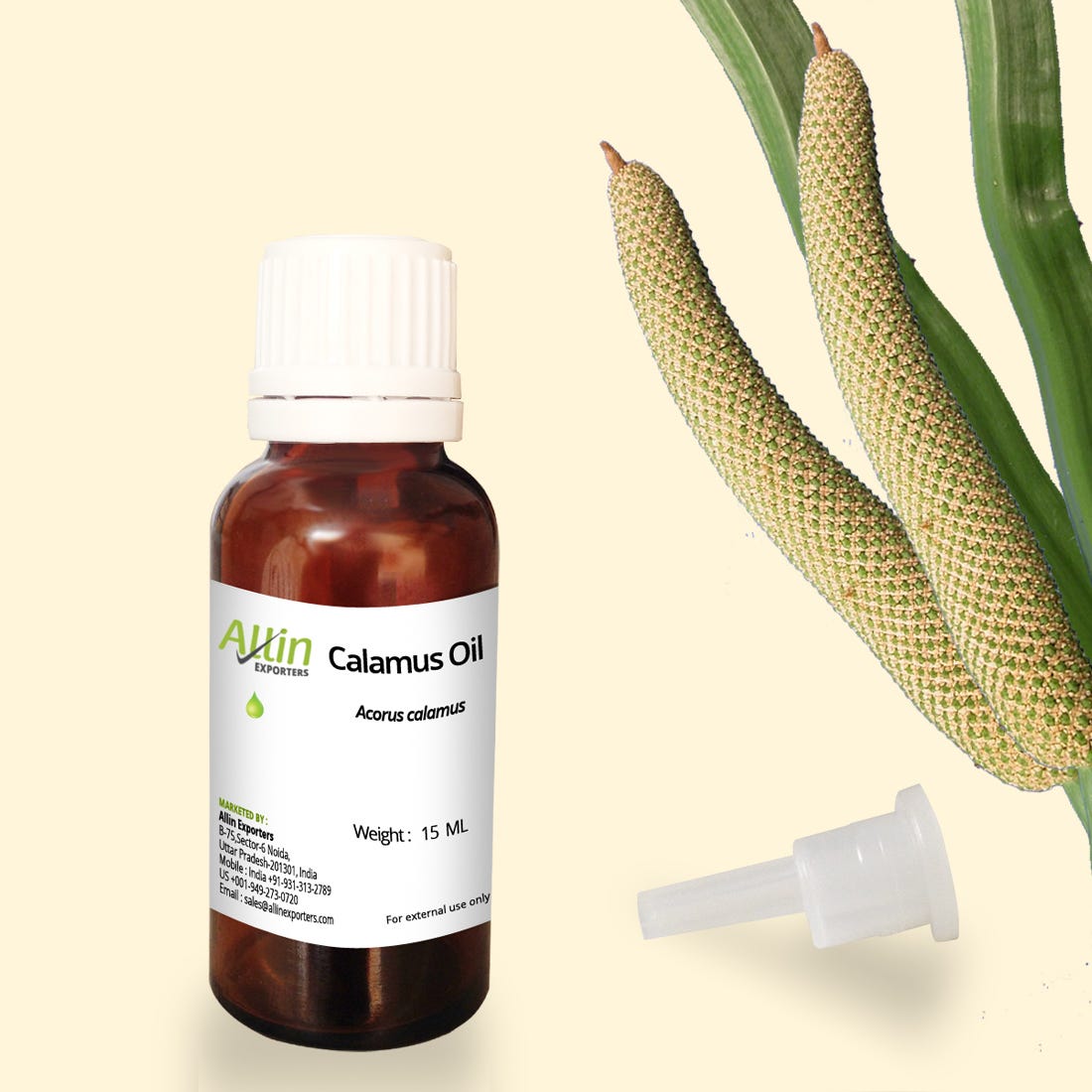 How Calamus Oil Is Beneficial For Various Purposes? | by Abhinav Singh ...