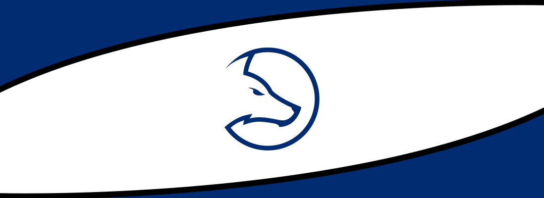 LDLC Finalizes CS:GO Roster. Mathieu “Maniac” Quiquerez releases… | by ...