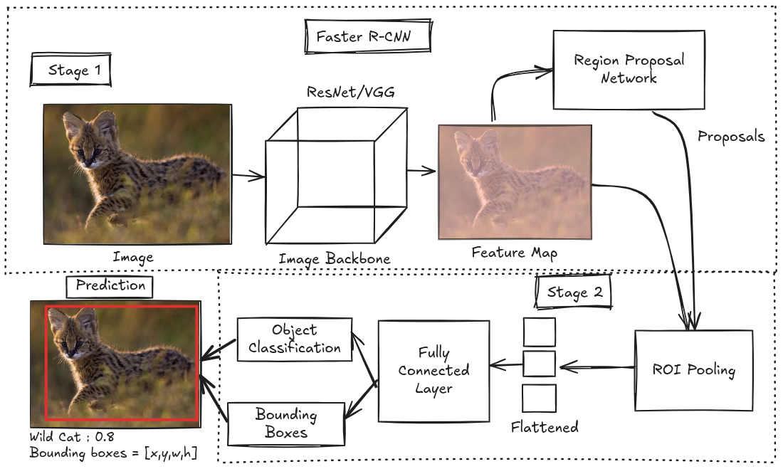 Faster R-CNN : Region Proposal Method | by Fadhil Elrizanda | Jun, 2025 | Medium