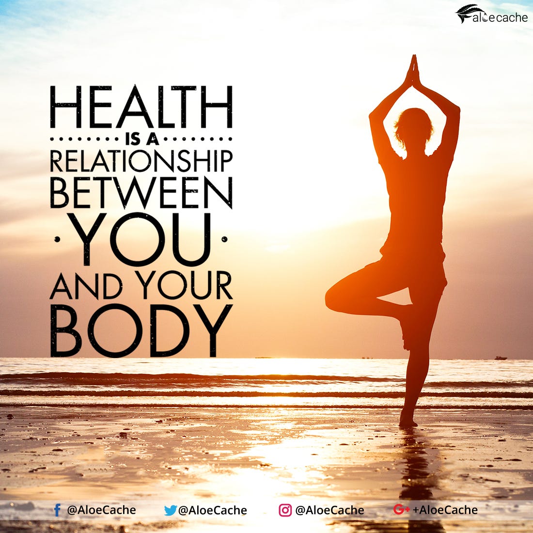 Healthy Lifestyle. “You need to follow a good lifestyle to… | by Aloe ...
