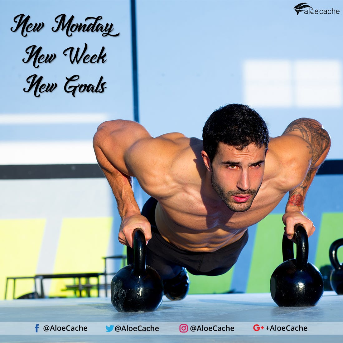 Monday Motivation. “Wake up every Monday knowing that you… | by Aloe ...