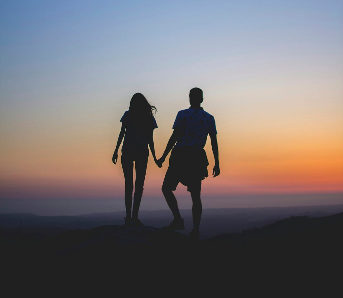 We, the Couples of Our Nature. How Emotional Habits Shape the Ones We ...