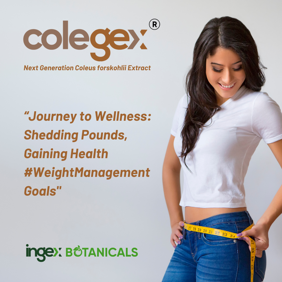 Explore the Power of Nature with Colegex Next Generation Coleus ...
