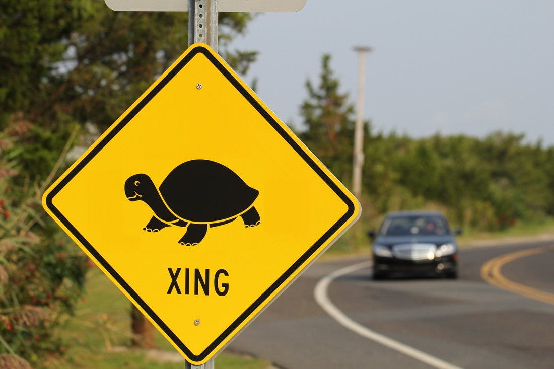 why-xing-sucks-probably-most-of-you-don-t-even-know-by-karen
