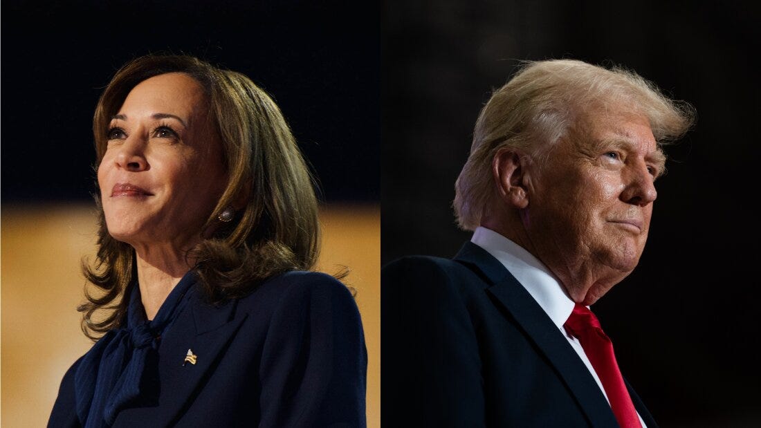 The stakes in this pivotal debate | by Political Puzzles | Medium