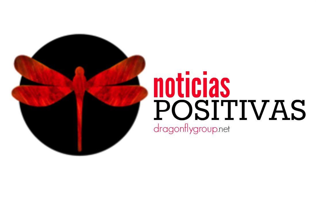 Here are some POSITIVE news… | by Dragonfly Group Blog | Medium