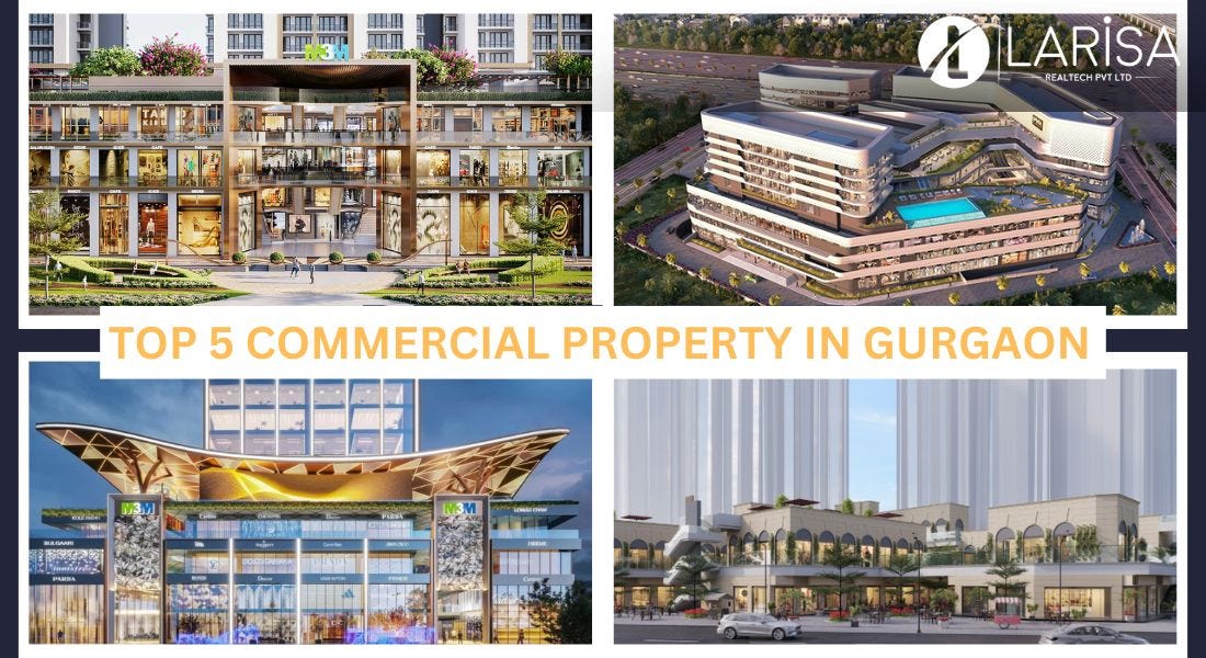Best Commercial Projects in Gurgaon - Larisa Realtech - Medium