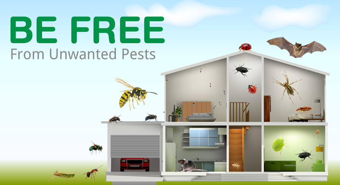 5 Tips to Enjoy a Pest Free Backyard BBQ | by Shana C. Smith | Medium