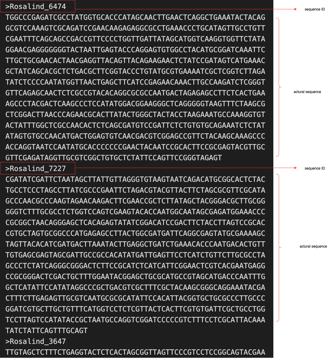 Biopython Parse Fasta Format And Count Gc Content By Marinayutings Medium