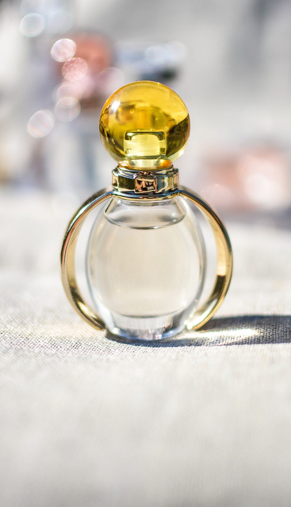 Perfume. Hold back your excitement, Says the… | by Manoj Pavitran ...