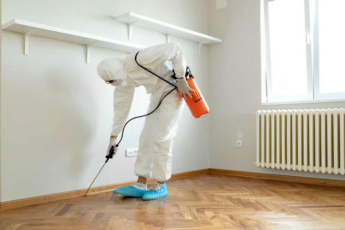 Comprehensive Termite Inspection in Adelaide for Complete Peace of Mind | by Precision Pest ...