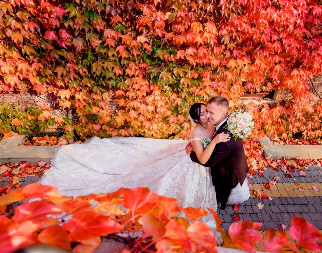 The Ultimate Guide to Matrimonial Sites in Canada Finding Love Online ...