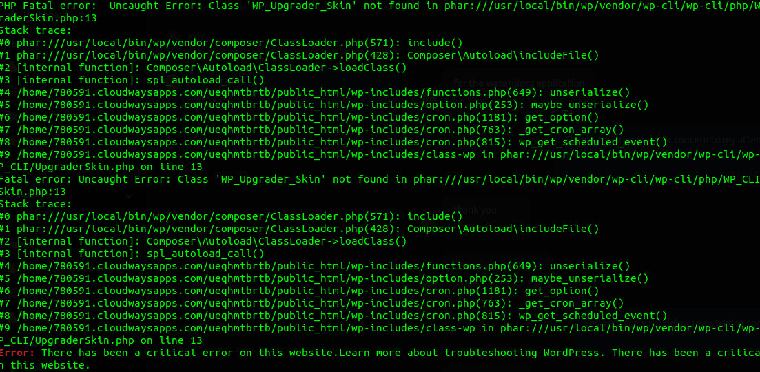Resolving The “uncaught Error Class ‘wp Upgrader Skin Not Found” On Cloudways By Thakur
