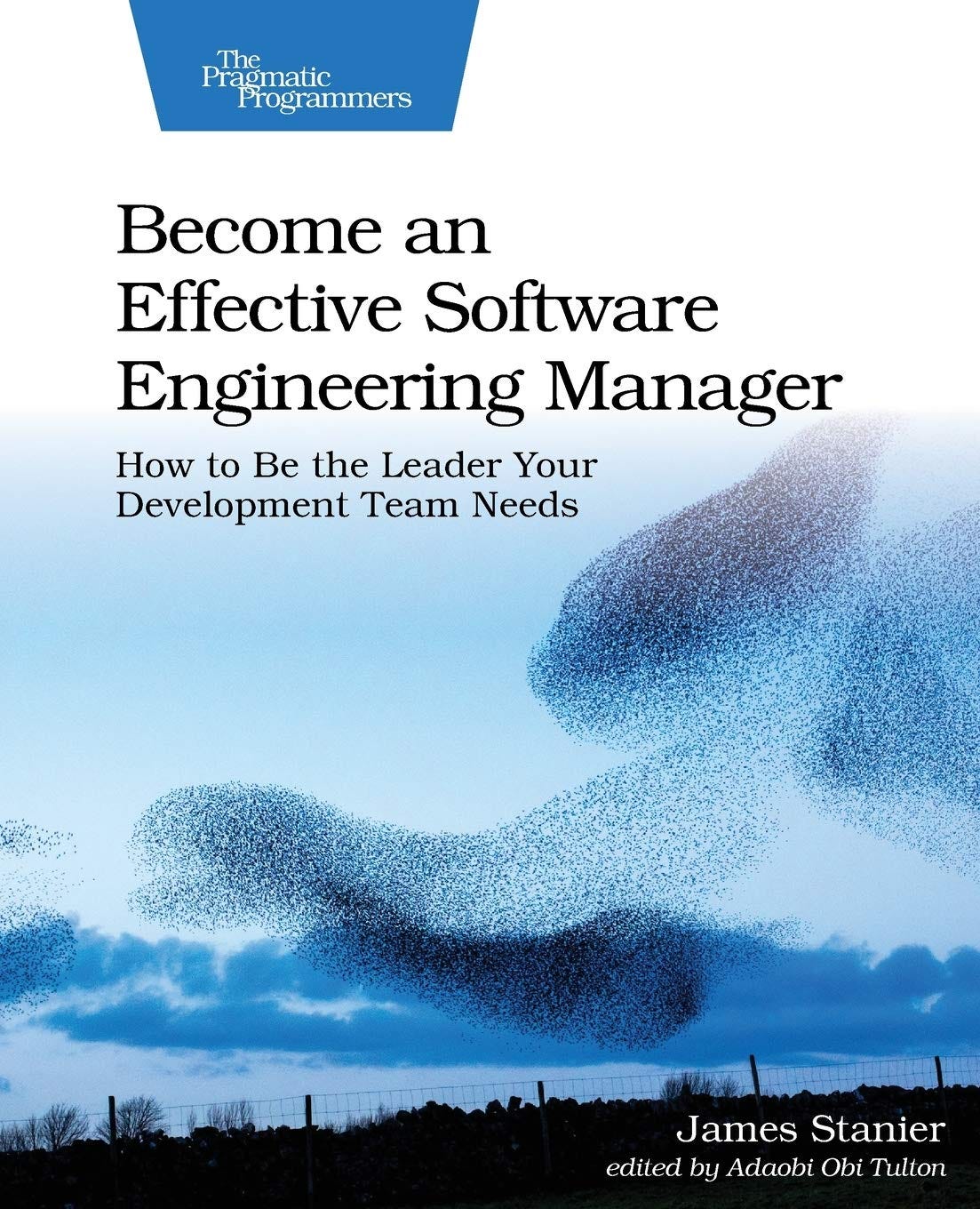 Book review: Become an Effective Software Engineering Manager by James ...