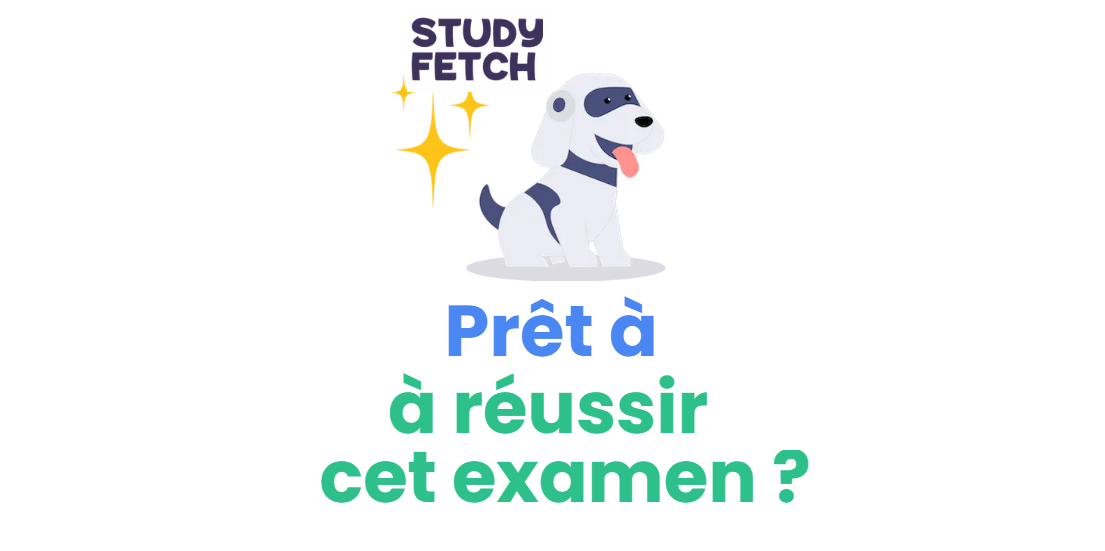 StudyFetch: the AI that converts teacher lessons into review notes | by ...