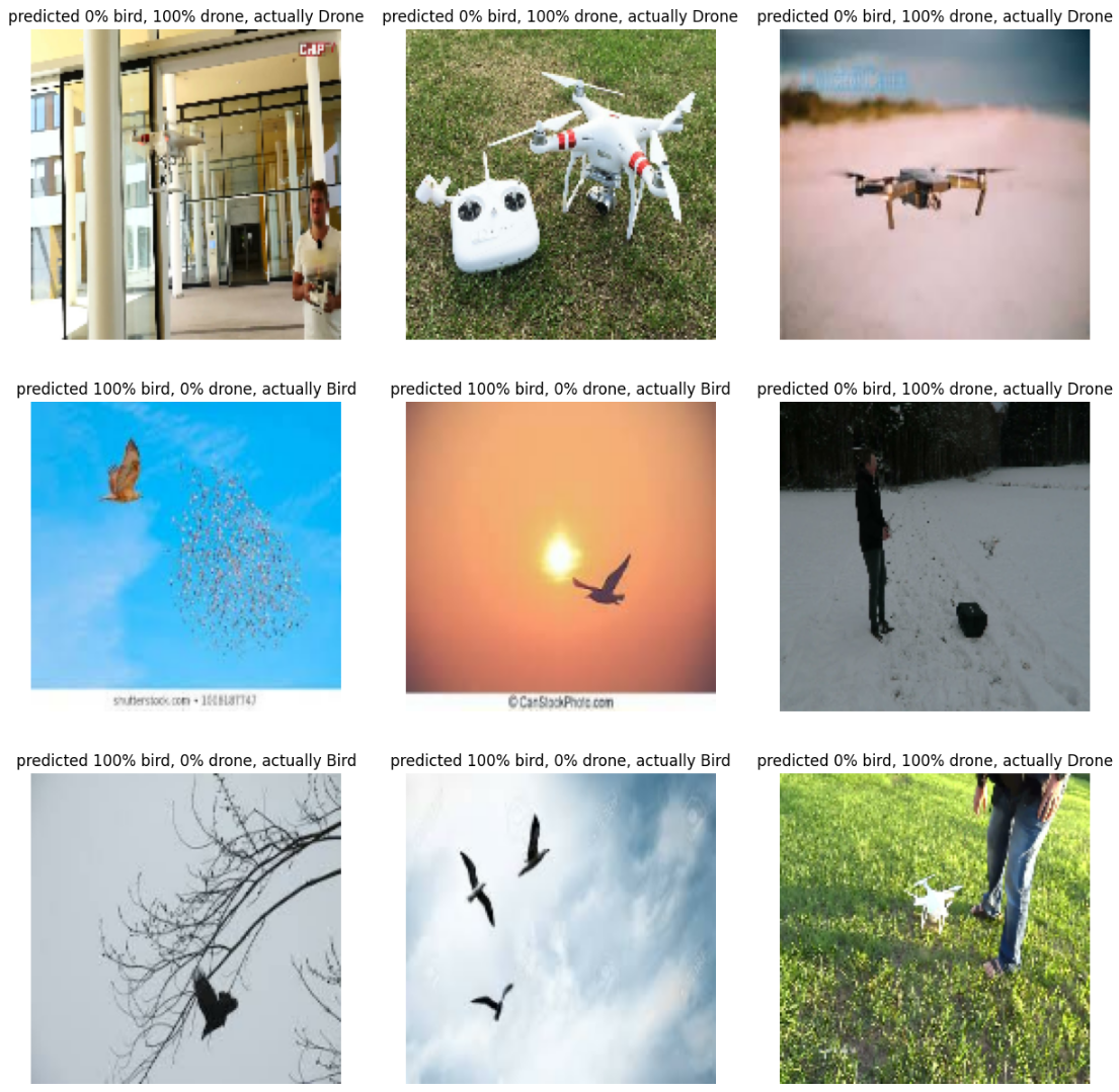 Building A Binary Image Classification Model To Distinguish Between