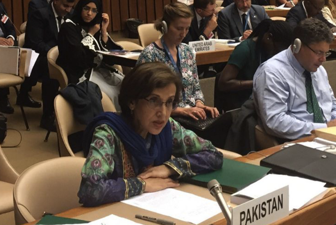 Pakistani Women Have Already Achieved These Milestones In 2017 | by ...