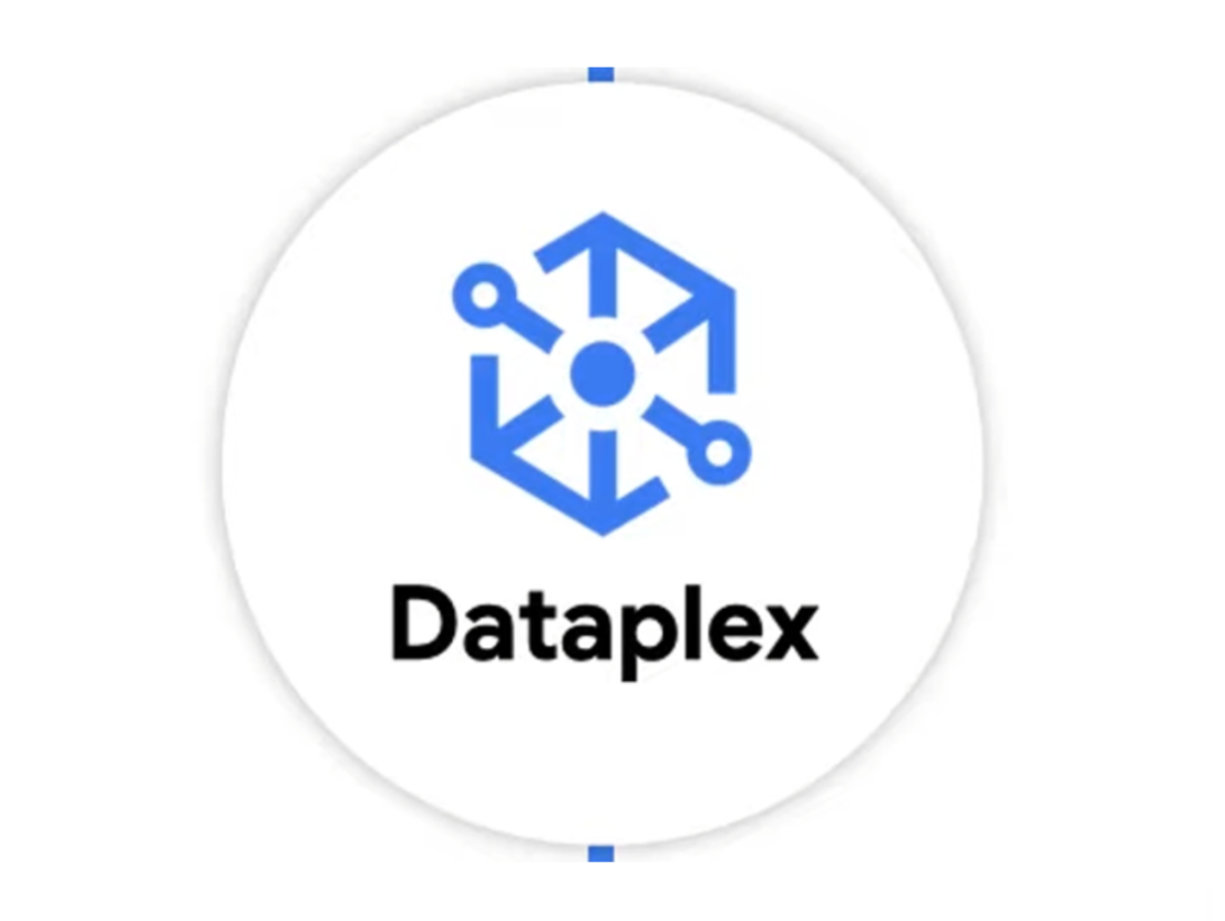 Dataplex Group