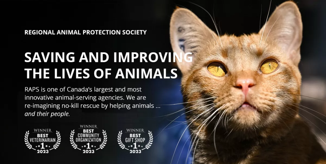 rapsbc.com — Saving and improving the lives of animals (UX/UI Design ...
