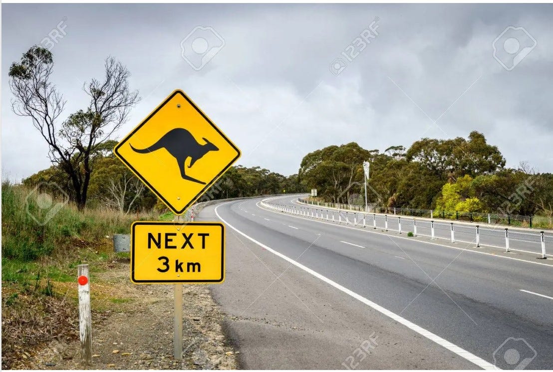 The Royal Family: where to from here? | by Catherine Allen | Medium