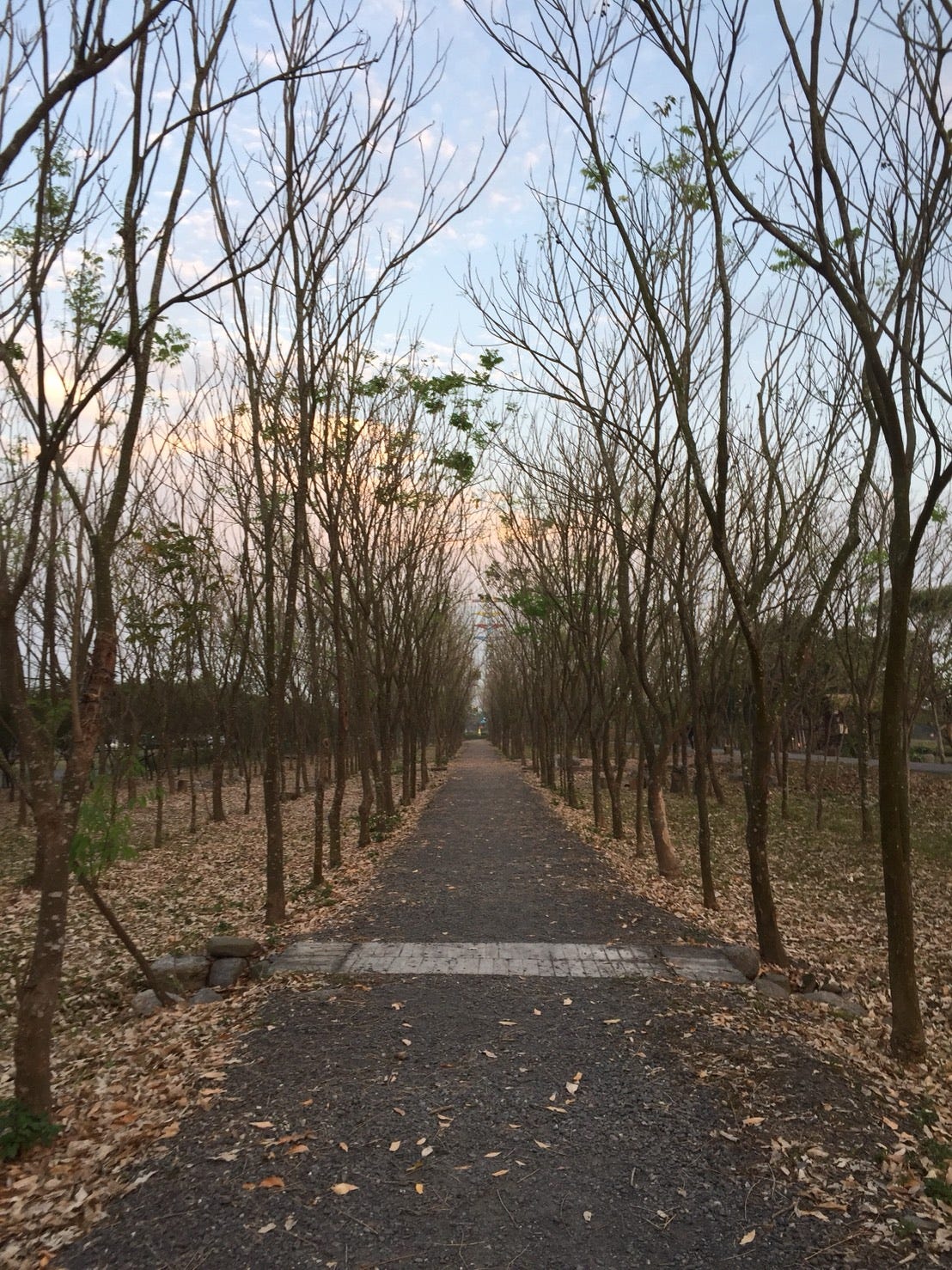 Let’s Go, Golang Pointer篇. 初學者在學習Go語言時，遇到Pointer都很頭痛，不容易理解Pointer的概 ...