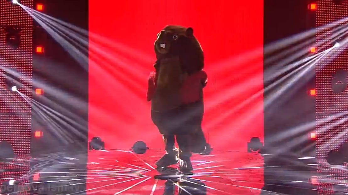 Latvia’s Internet Sensation: Getting Inside The Beaver From Riga | by ...