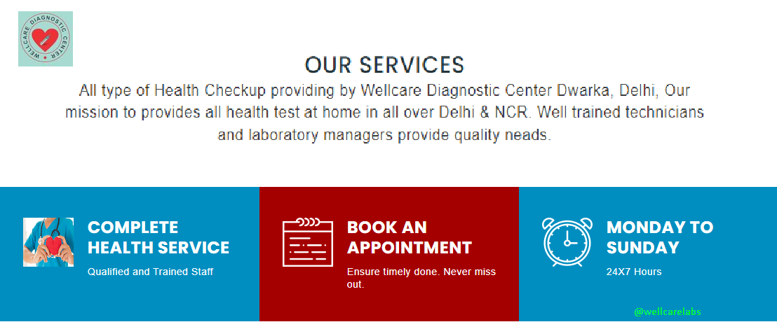 Full Body Health Checkup at home by Wellcare Diagnostic Center ...