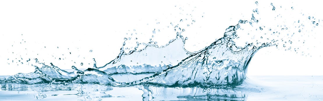 Water dynamics: Probing the interactions between biomolecules and ...